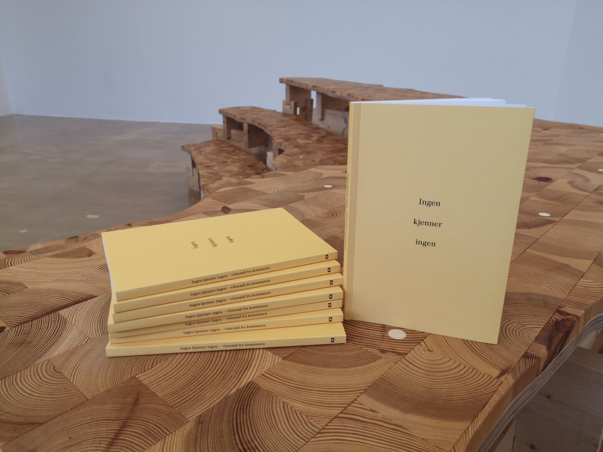 Boklansering: Ingen kjenner ingen - vitnemål fra kommunen ...